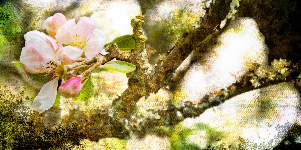 Reacquainted | l i z ruest