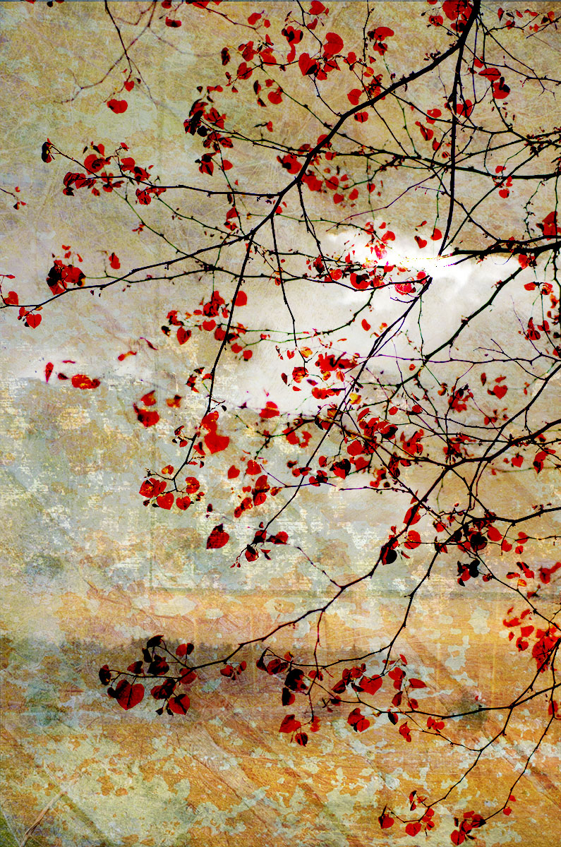 Interface | l i z ruest