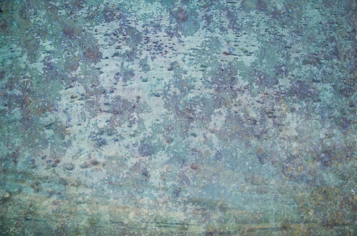 Residency: Scottish Palette | l i z ruest