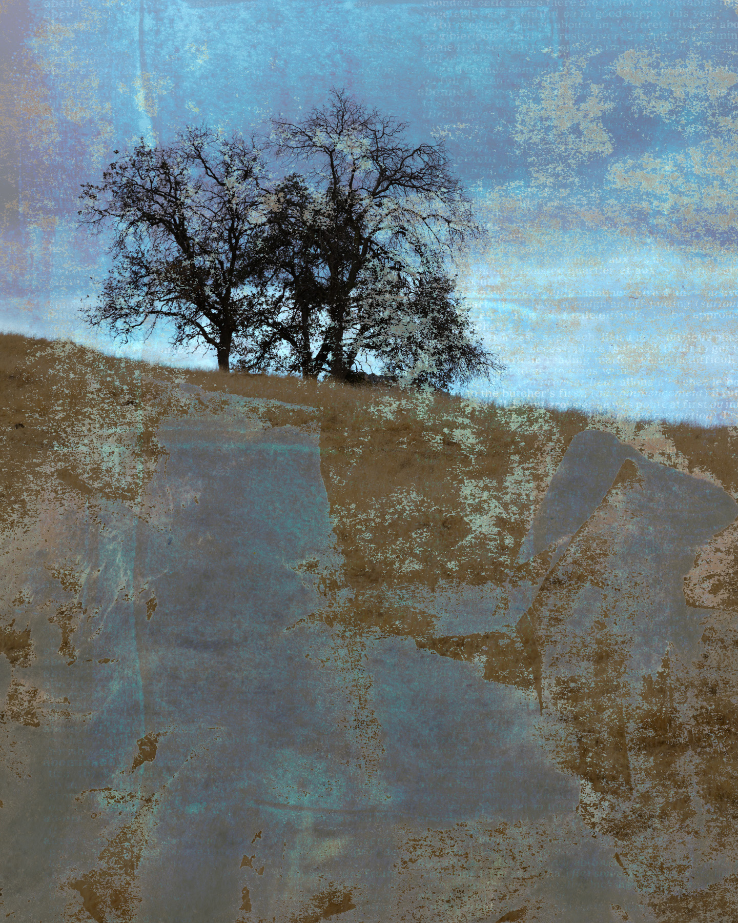 seeing beyond now | l i z ruest