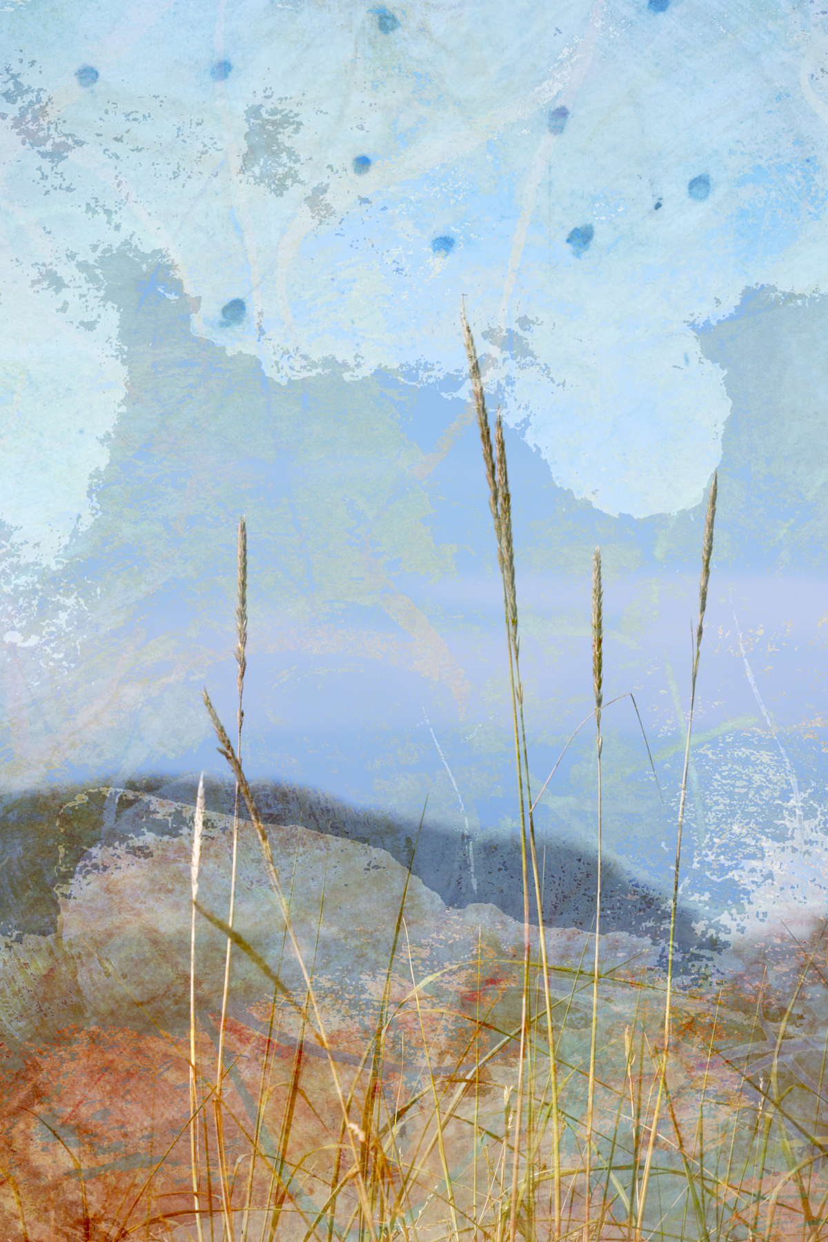 digressions and asides | l i z ruest